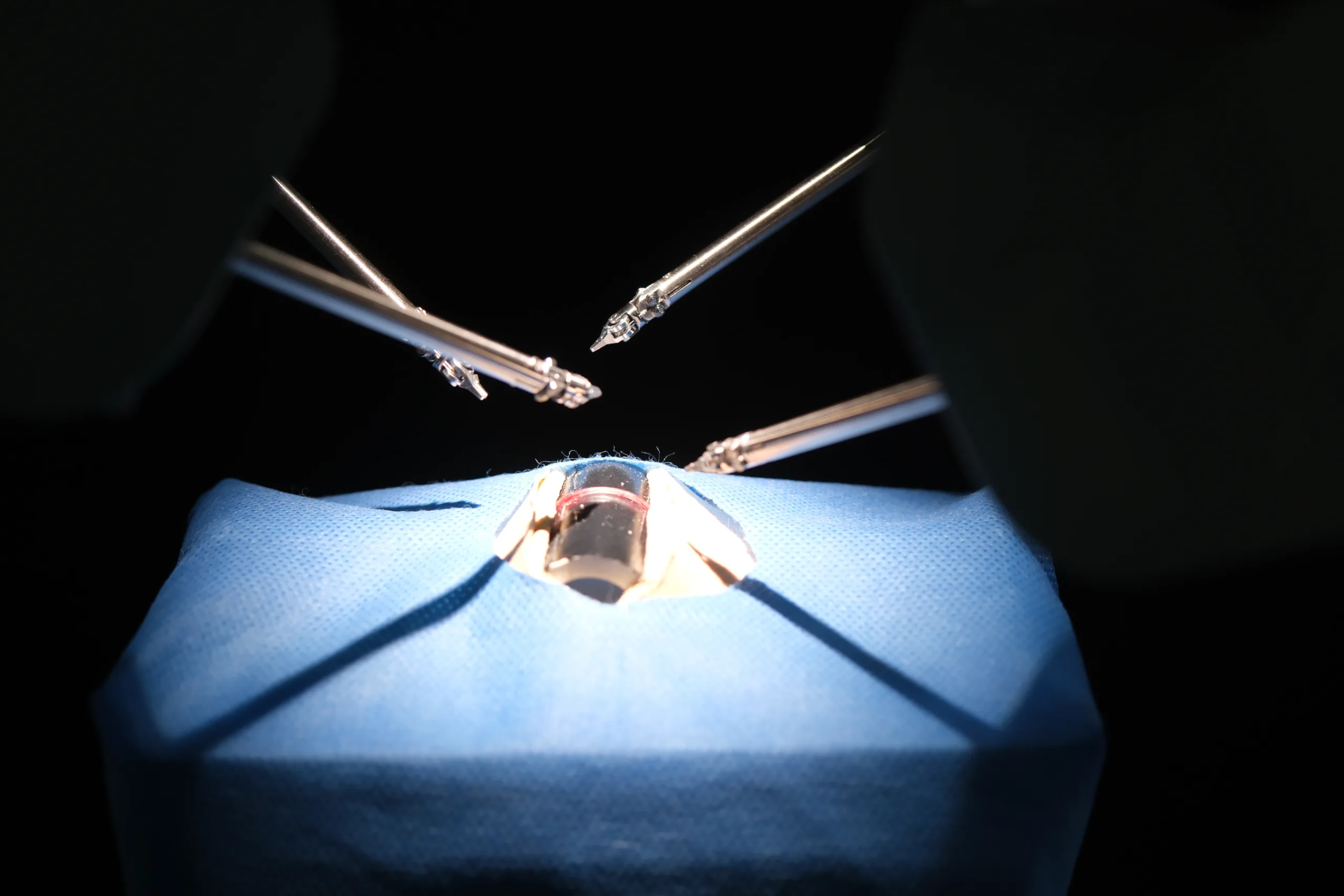 Assistive devices on the rise at Korea's Robot World Conference - InDro ...